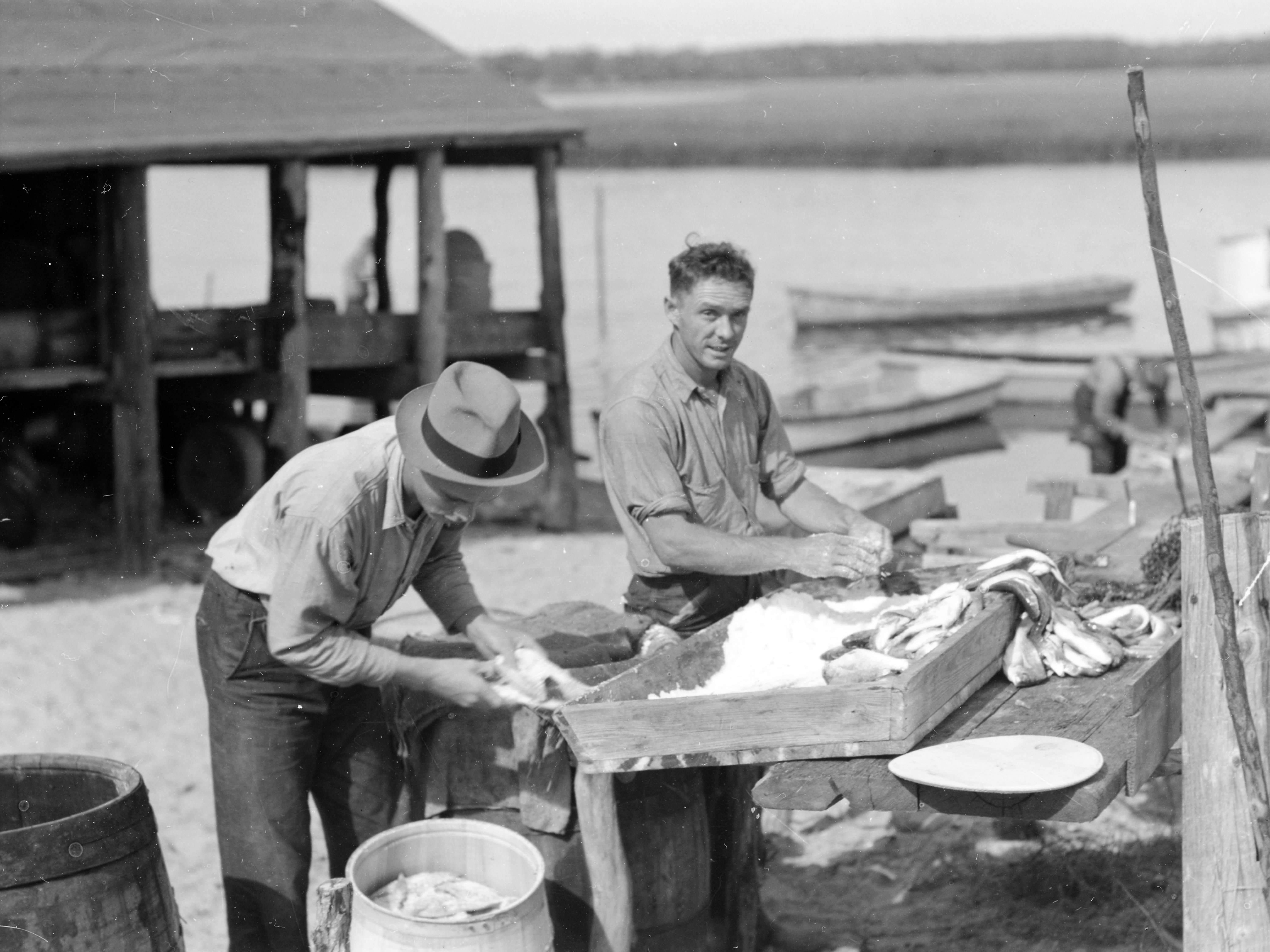 Brown’s Island 10- Salt Fish | David Cecelski