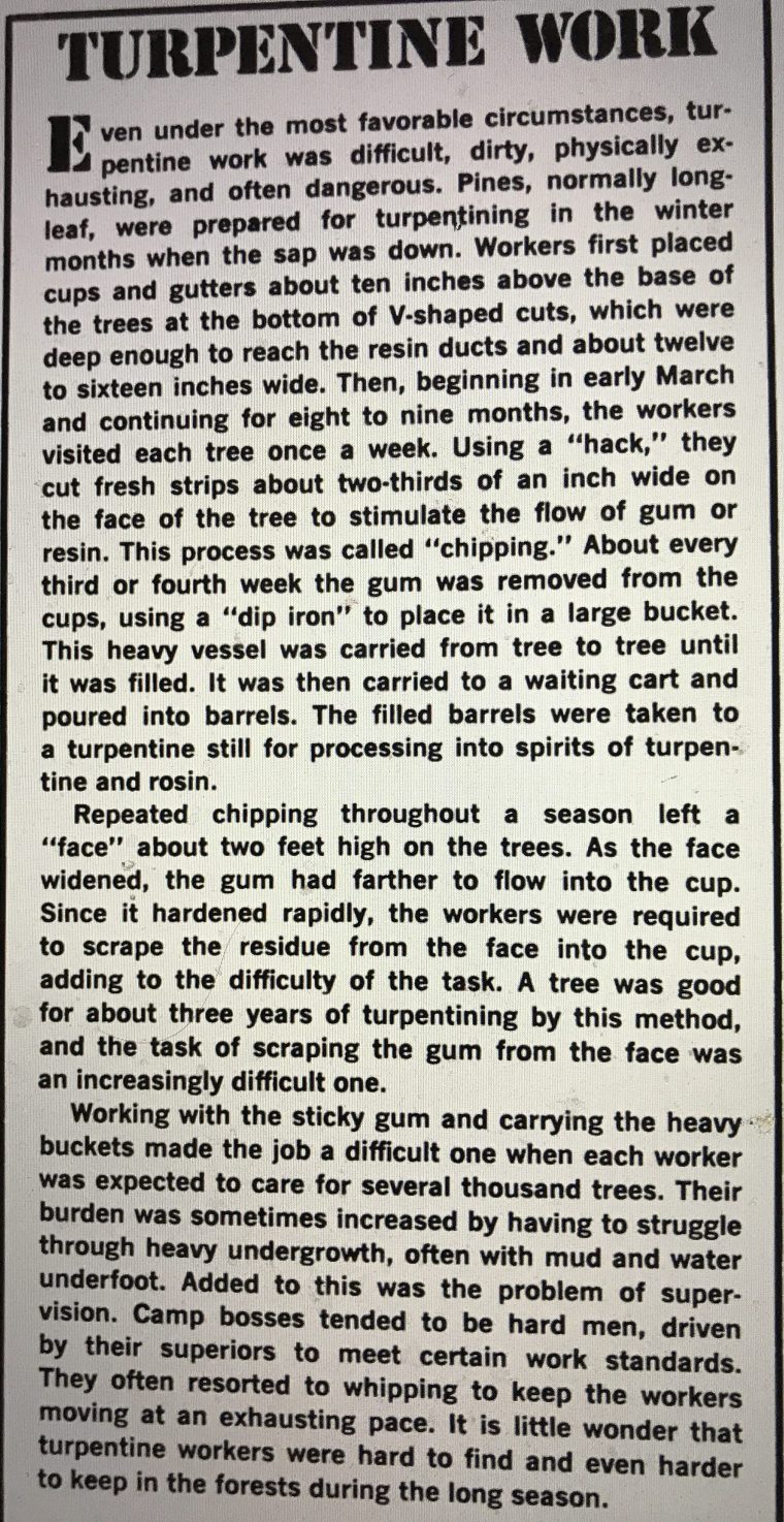 The Turpentine Trail | David Cecelski
