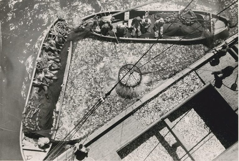 Photographs from the National Fisherman | David Cecelski