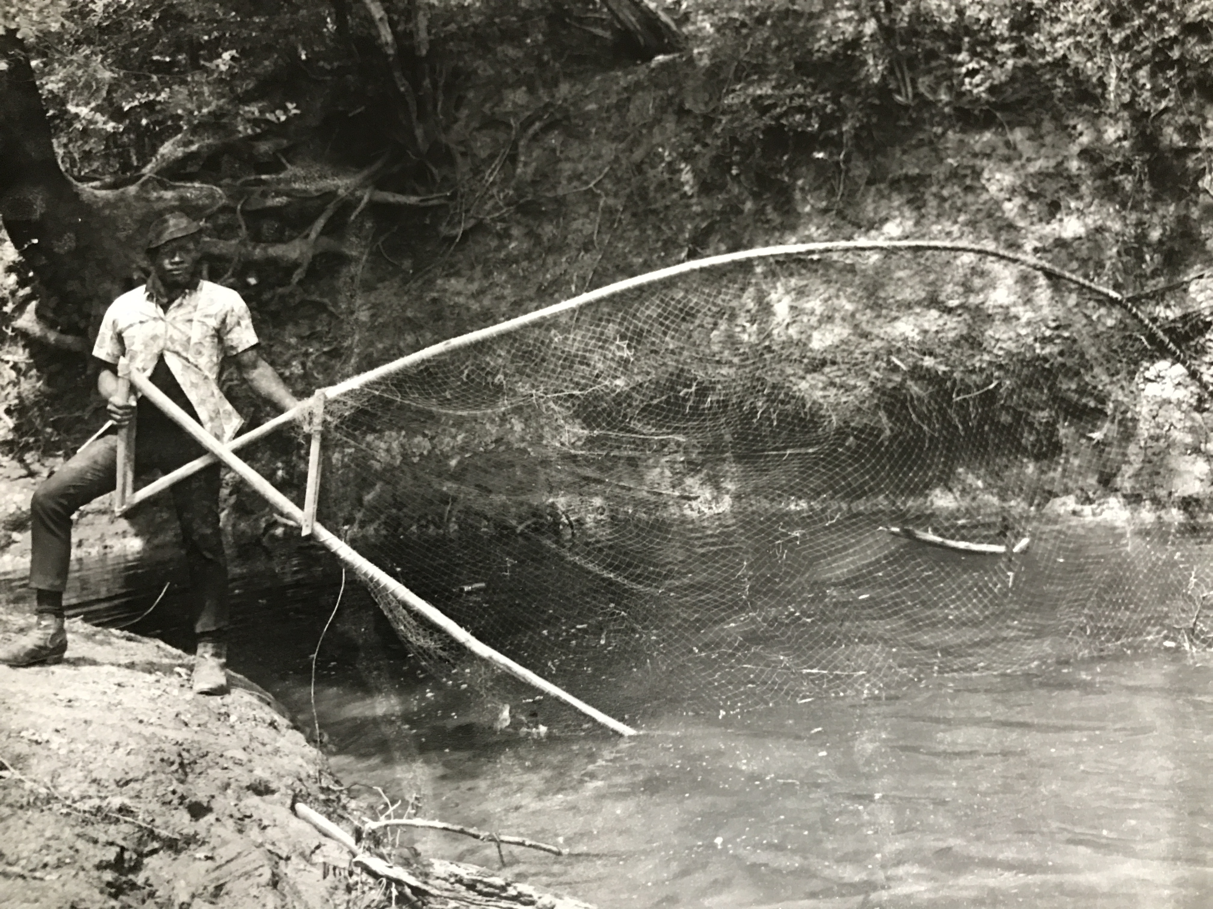 The Beauty of Old Fishing Nets | David Cecelski
