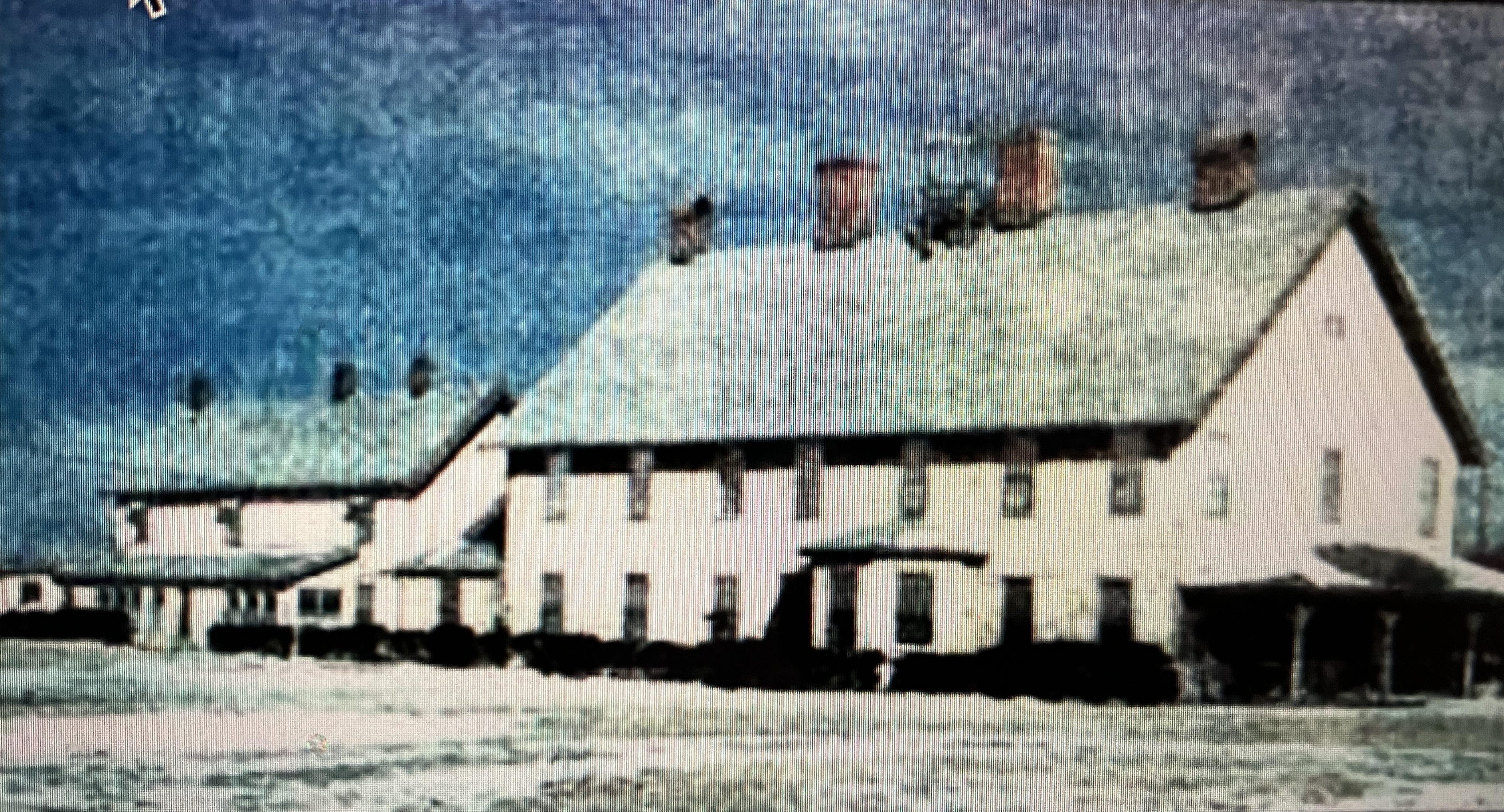 A Winter on Pine Island: Reading Lillie Baum’s Diary from 1904 | David ...