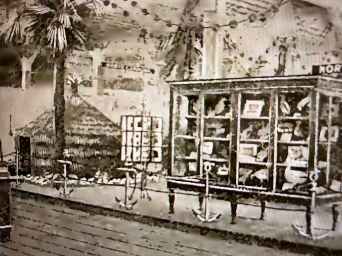 The Magic Lantern Man | David Cecelski