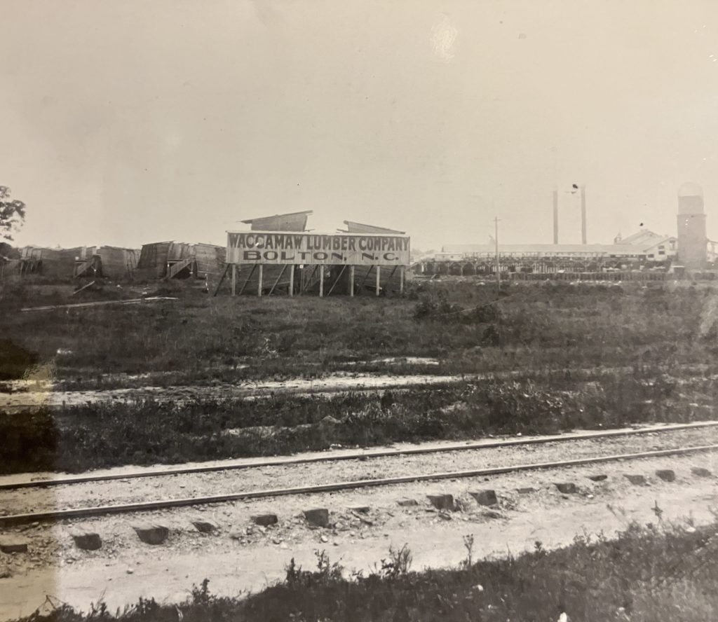 The Road to Makatoka: Logging the Green Swamp, 1910-1930 | David Cecelski