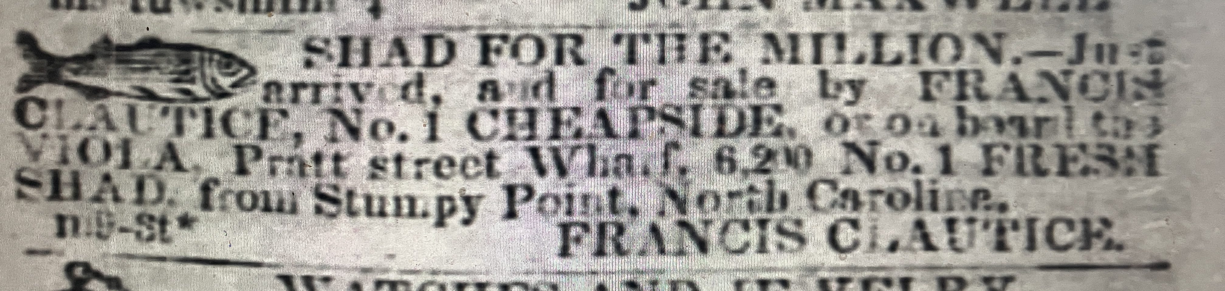 “A Collection of Log Huts, Inhabited by Fishermen”: Stumpy Point, 1888 ...