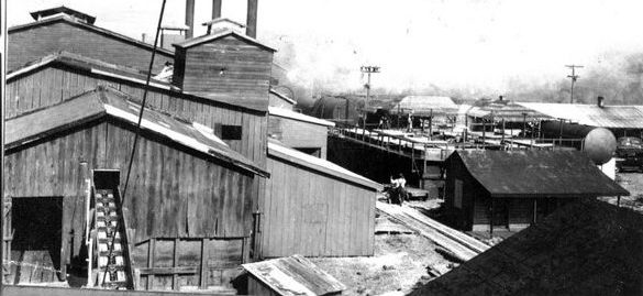The Wallace Fish Factory, 1939 | David Cecelski