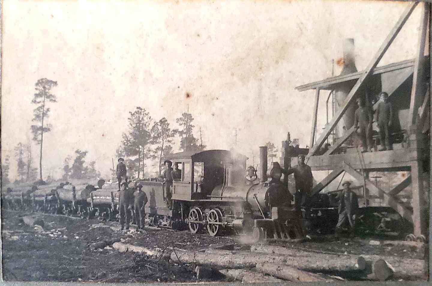 Logging in the Great Dismal Swamp | David Cecelski