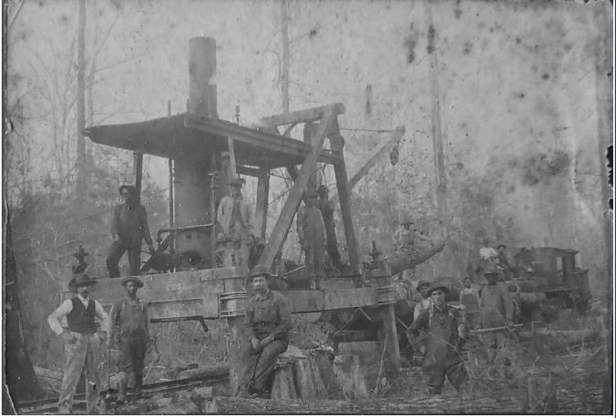 Logging in the Great Dismal Swamp | David Cecelski